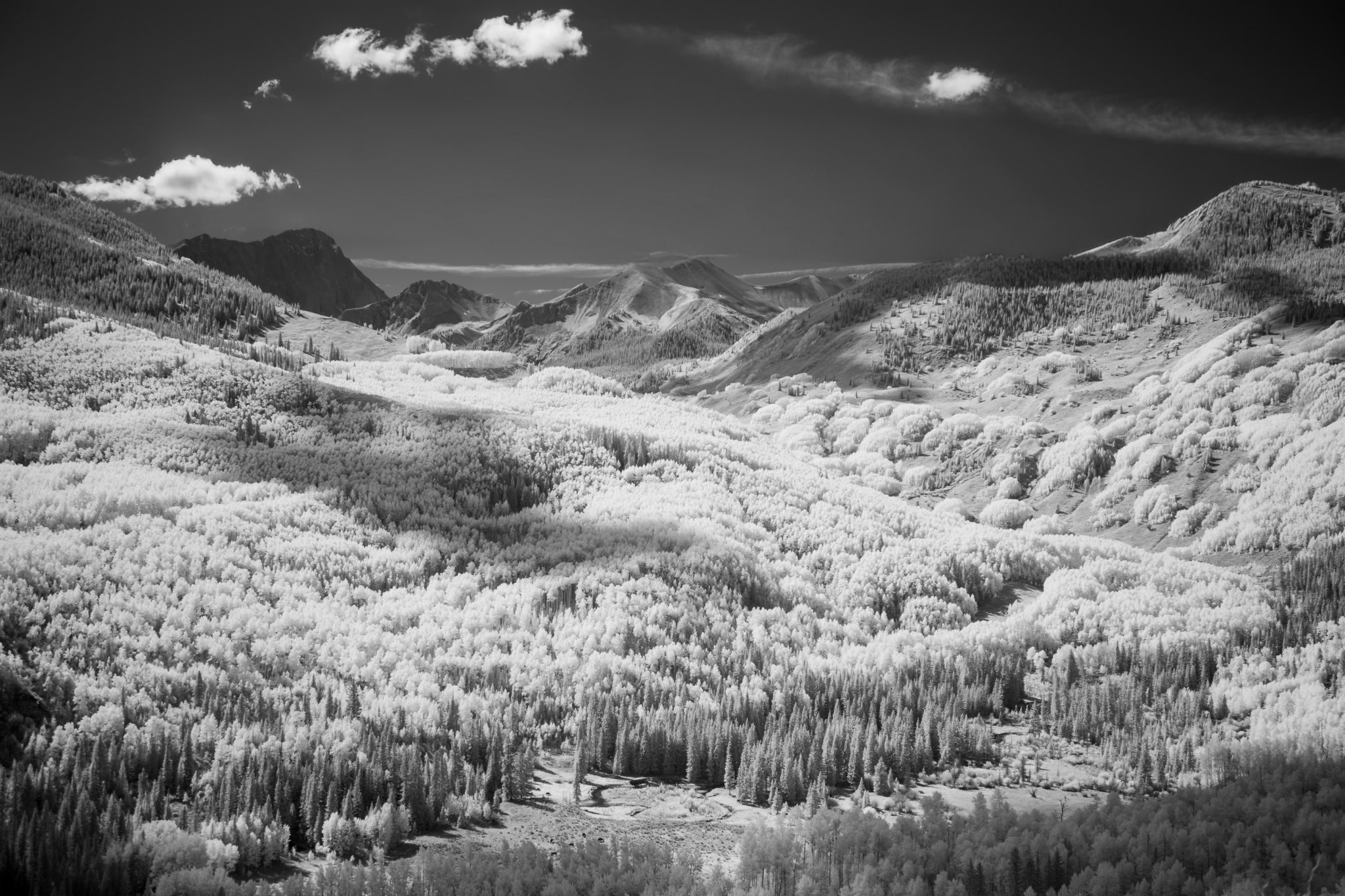 January 2026 Meeting Member Images | Flatirons Photo Club